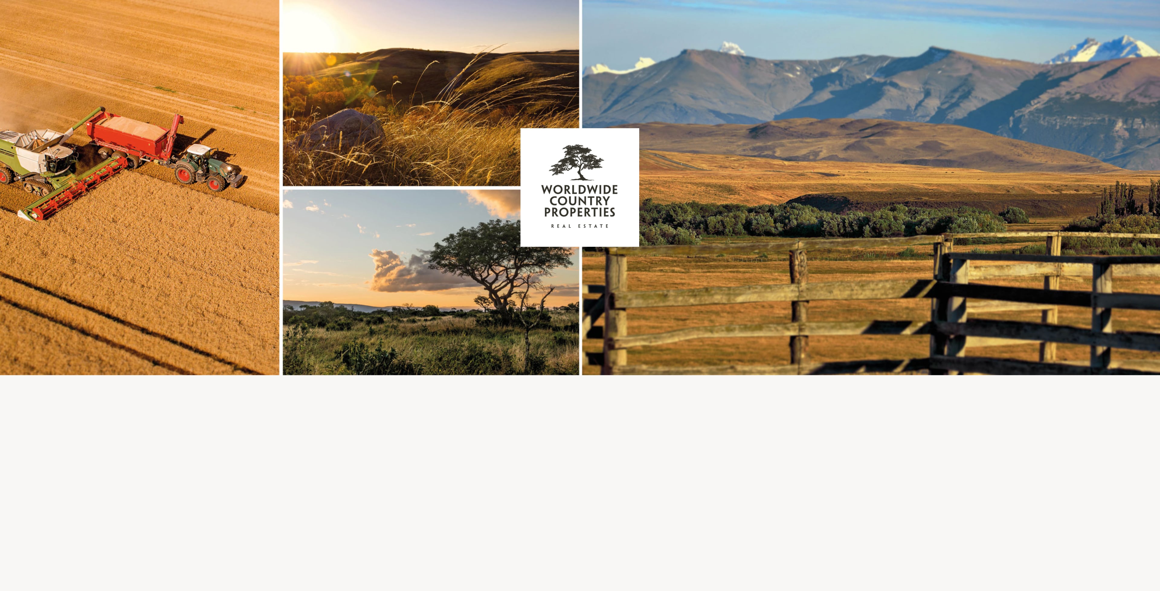 Magic Safari Lodges 2024